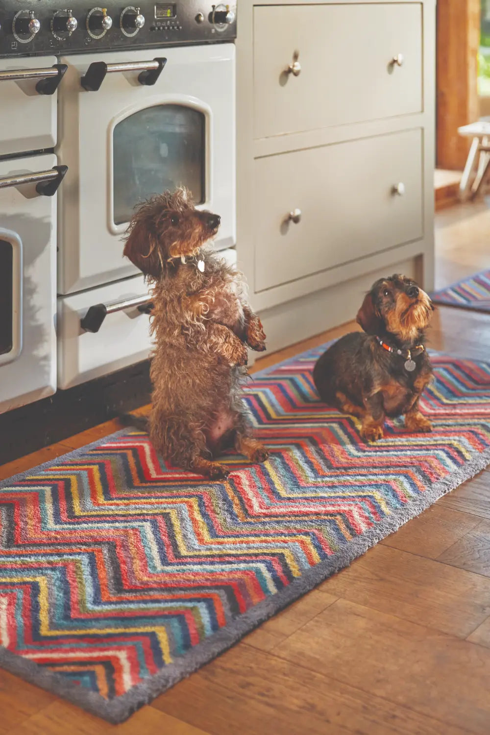 Patterned Hug Rug Chevron 1 Multicoloured Rug — RugsDirect Online