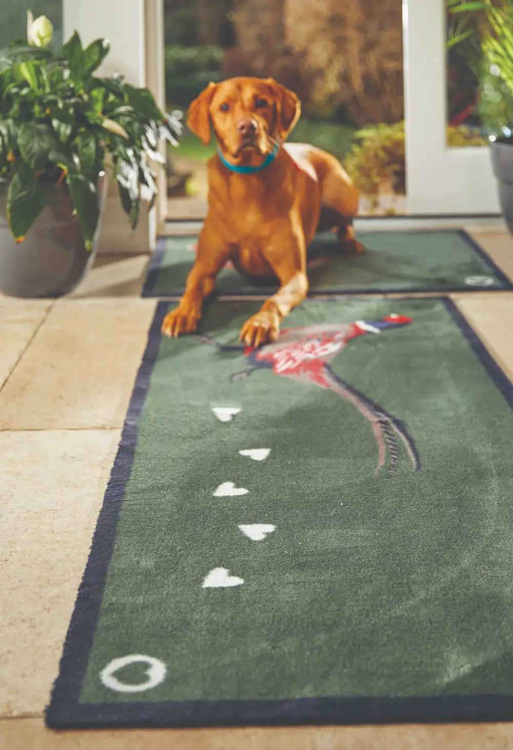 Patterned Hug Rug Pheasant 2 (Green) Runner Multicoloured Rug ...