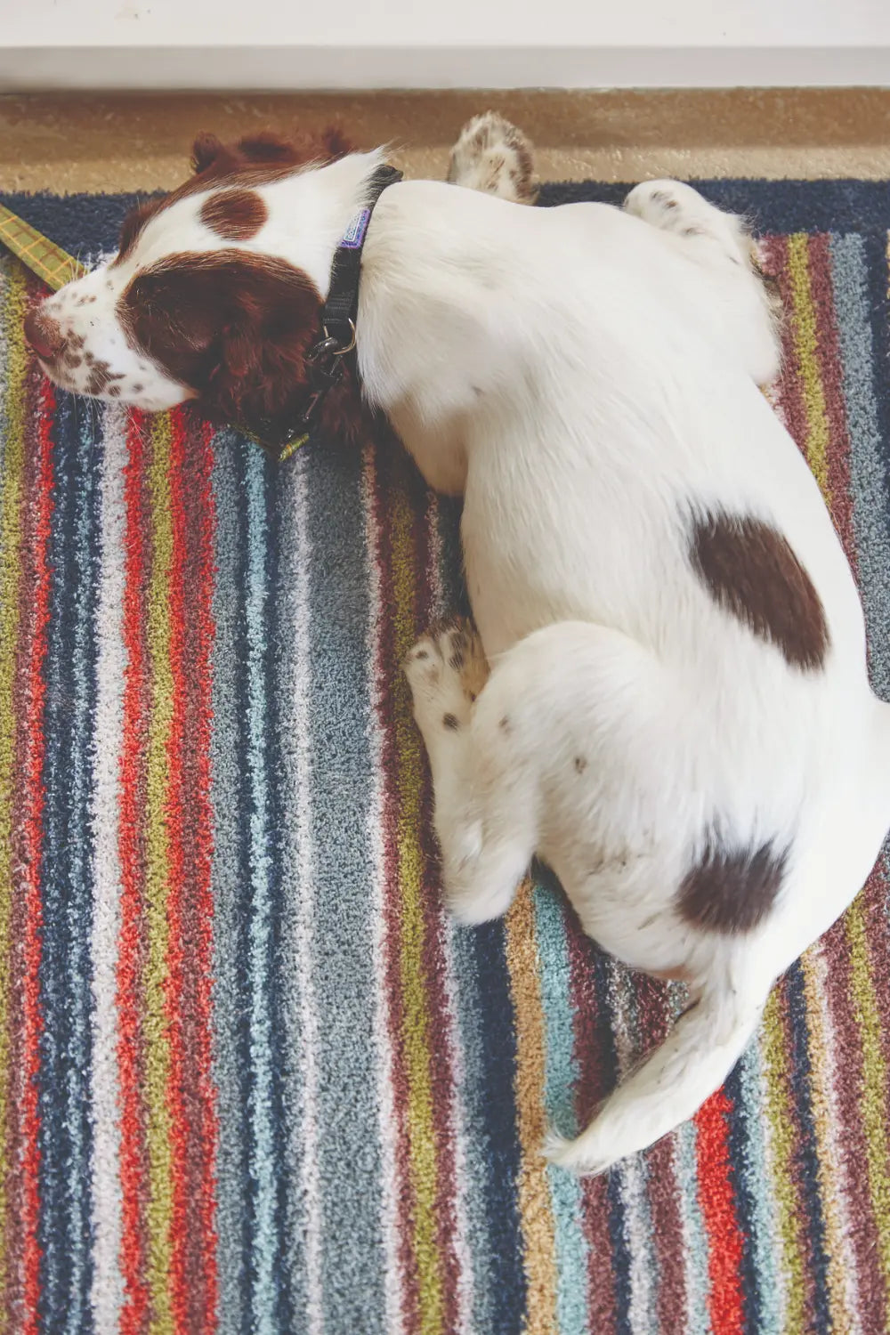 Patterned Hug Rug Stripe 32 Multicoloured Rug — RugsDirect Online