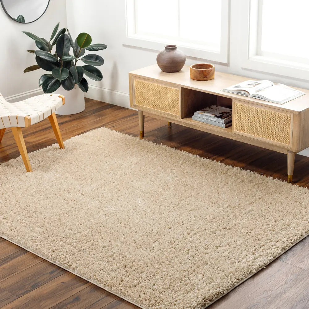 SOSO Shaggy Solid Color Plush Pile Beige Rug Beige Beige Rug ...