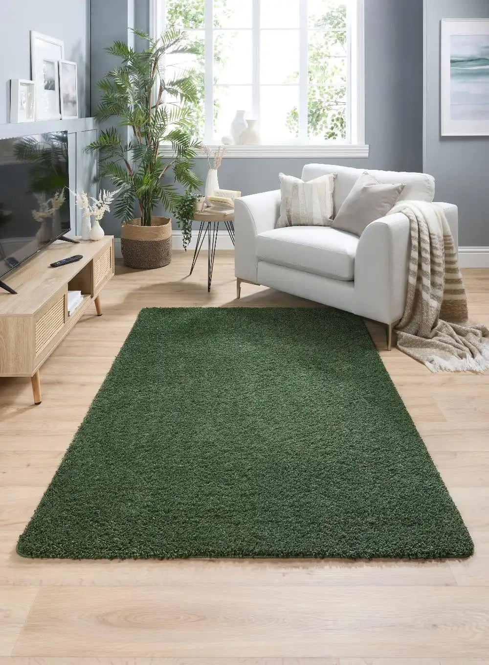 Buddy Forest Green Rugs - Buy Forest Green Rugs Online from Rugs Direct ...