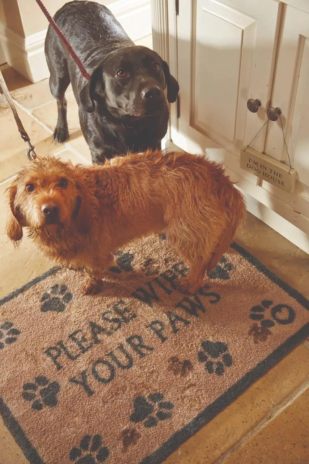 Hug Pet Pet 60 Beige Rug — RugsDirect Online